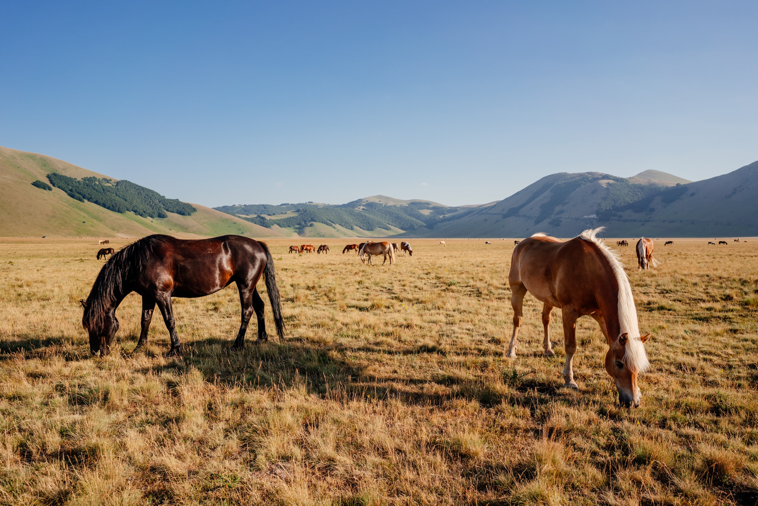 Enter the photograph, tame the landscape | Francesco Riccardo Iacomino ... Enter the photograph, tame the landscape | Francesco Riccardo Iacomino ...
