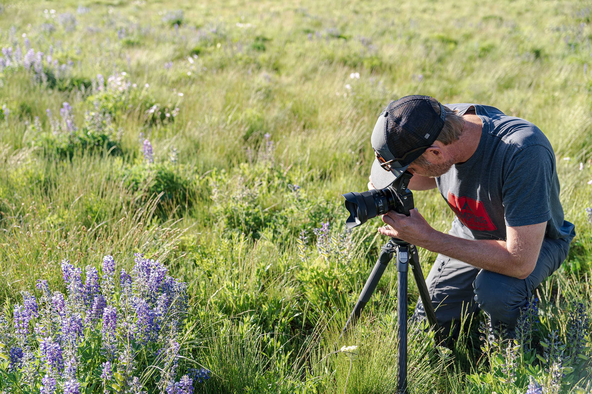 The lens cuts straight to the heart of the scene I am looking to ...