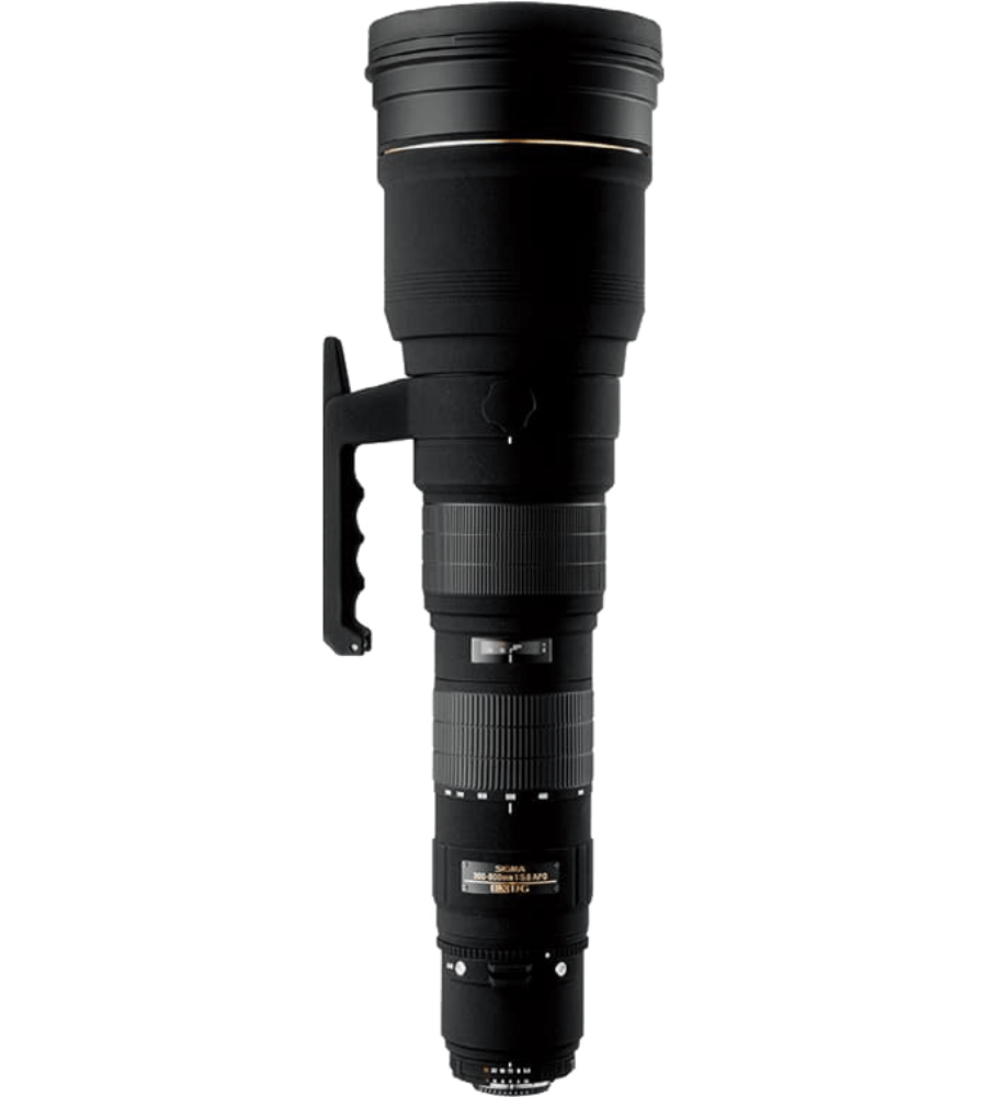 APO 300-800mm F5.6 EX DG HSM | Lenses | SIGMA Corporation
