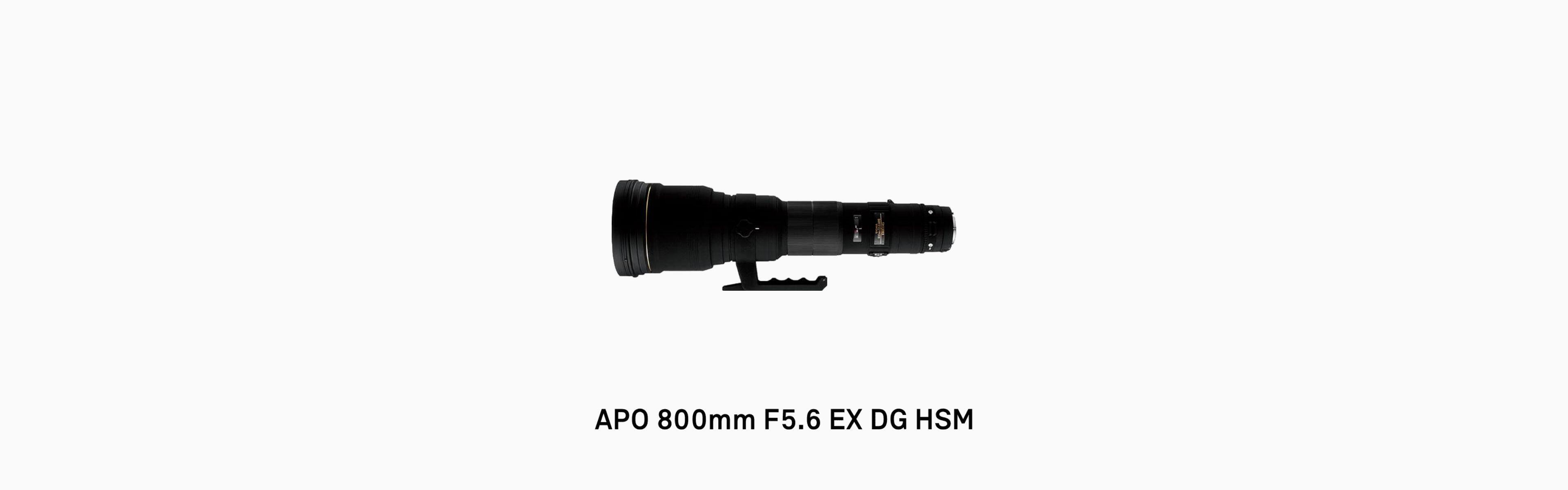 APO 800mm F5.6 EX DG HSM | Lenses | SIGMA Corporation