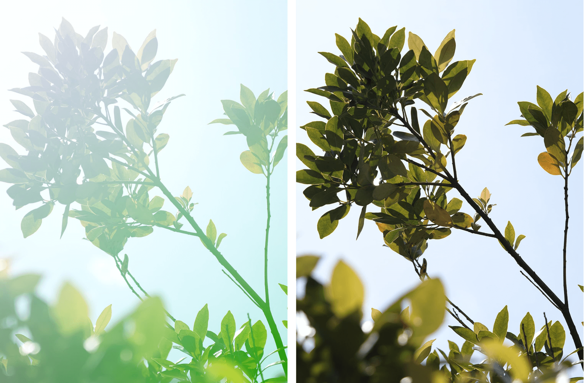 Feature | 18-300mm F3.5-6.3 DC MACRO OS HSM | Contemporary Feature | 18-300mm F3.5-6.3 DC MACRO OS HSM | Contemporary