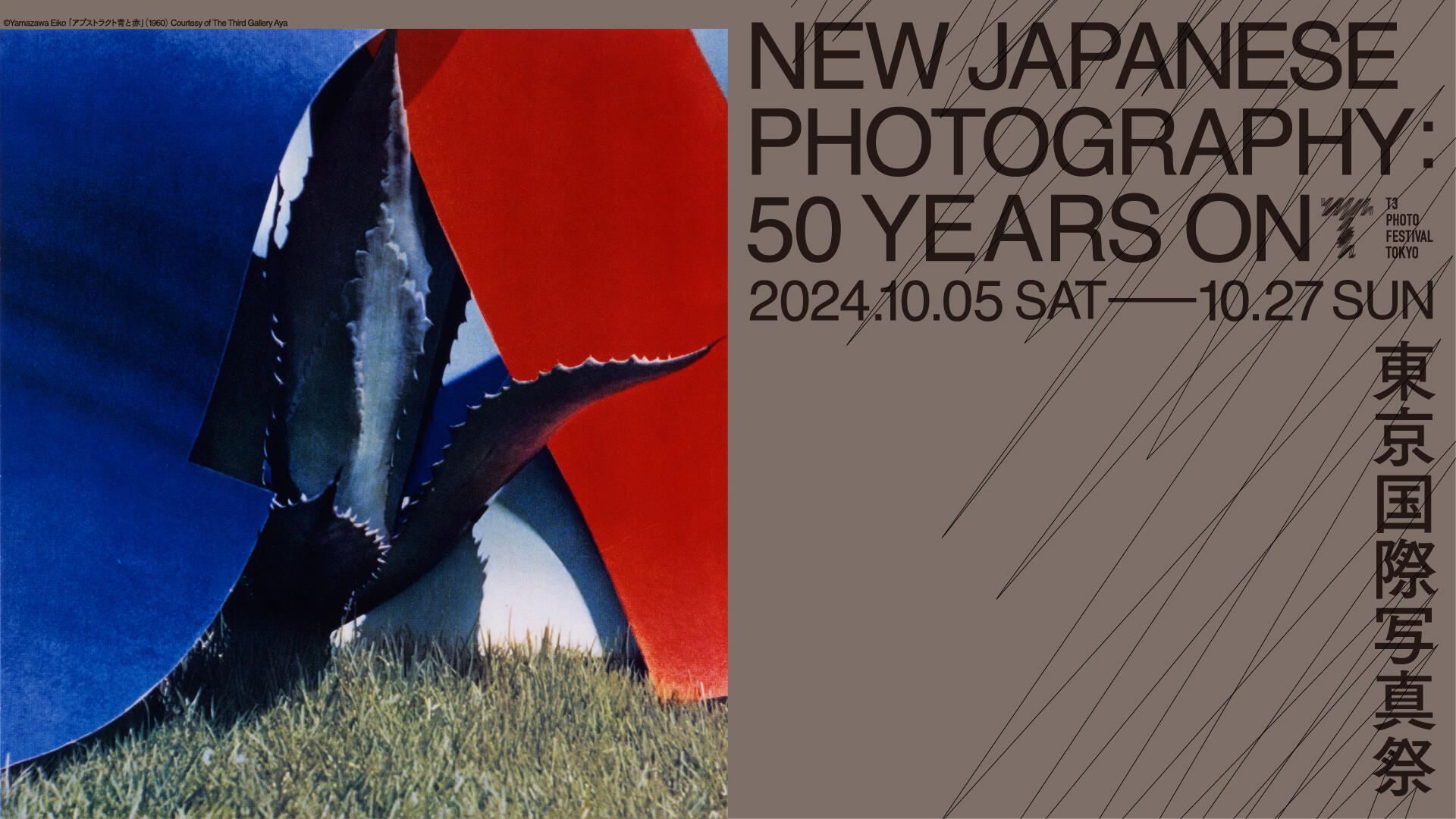 Announcement of Sponsorship and Exhibition for T3 PHOTO FESTIVAL TOKYO ...