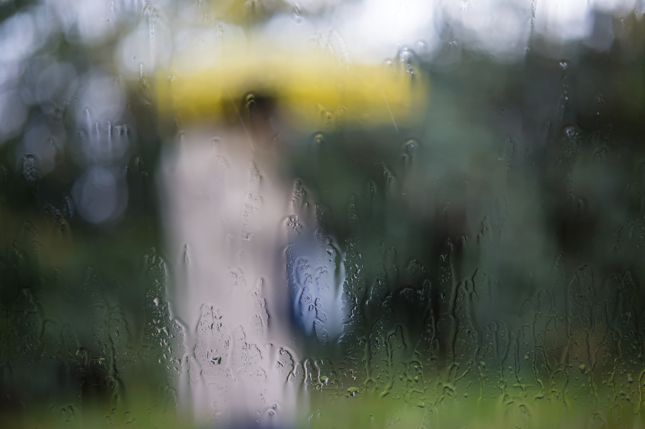 ファインダーを覗かずとも結果が想像できる50mm | スチュワート ファインダーを覗かずとも結果が想像できる50mm | スチュワート